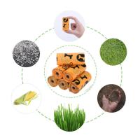 China Biodegradable Pet Waste Bags 15x9 Inch Leak Proof Poop Bags for Dog Cat Dispenser for sale