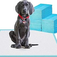 China Waterproof Puppy Training Pads with 3-Cup Absorption Capacity | Disposable Pet Diaper for Small Animals for sale