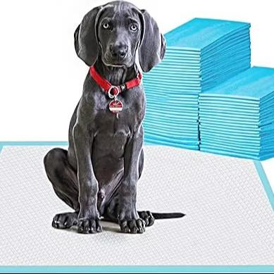 China Waterproof Puppy Training Pads with 3-Cup Absorption Capacity | Disposable Pet Diaper for Small Animals for sale
