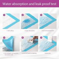 China Waterproof Puppy Training Pads with 3-Cup Absorption Capacity | Disposable Pet Diaper for Small Animals for sale