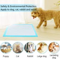 China Waterproof Puppy Training Pads with 3-Cup Absorption Capacity | Disposable Pet Diaper for Small Animals for sale