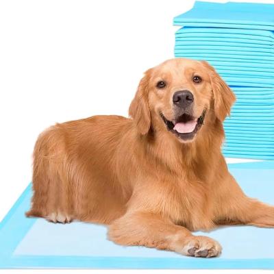 China Disposable Dog Pee Pads 3-Cup Capacity Leak-Proof Training Mats with Fast Drying Technology for sale
