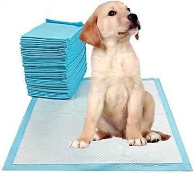 China 56x56 cm Super Absorbent Pet Pee Pad for Indoor Toilet Training - Holds 3 Cups Liquid for sale