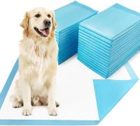 China Super Absorbent Dog Training Pads 56x56 cm with 3 Cup Capacity and Leak-Proof Design for Puppy Potty Training for sale