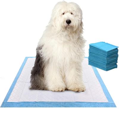 China Washable Waterproof Pet Training Mat with 3-Cup Urine Absorption Capacity for Dogs and Cats for sale