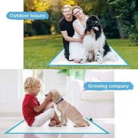 China Washable Waterproof Pet Training Mat with 3-Cup Urine Absorption Capacity for Dogs and Cats for sale