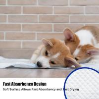 China Washable Waterproof Pet Training Mat with 3-Cup Urine Absorption Capacity for Dogs and Cats for sale