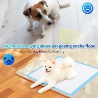 China Washable Waterproof Pet Training Mat with 3-Cup Urine Absorption Capacity for Dogs and Cats for sale