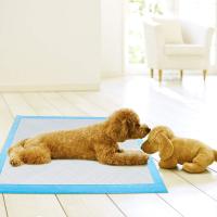China Custom Brand Pet Pee Pads - 3 Cup Capacity Fast Drying Absorbent Puppy Training Pads with Leak-Proof Design for sale