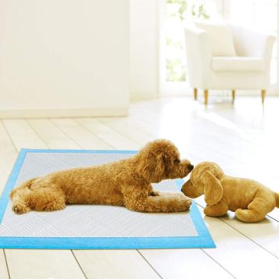 China Custom Brand Pet Pee Pads - 3 Cup Capacity Fast Drying Absorbent Puppy Training Pads with Leak-Proof Design for sale