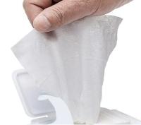 China 150x200mm Eco Friendly Pet Cleaning Wipes for Dogs Cats Biodegradable Custom Wet Wipes for sale