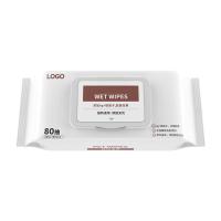 China Biodegradable Natural Pet Wet Wipes 200x200mm Gentle Eco-Friendly Grooming for Dogs Cats for sale