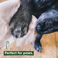 China Hypoallergenic Pet Wipes for Dogs Cats 200x200mm Individually Wrapped Thick Cleansing Wipes for sale