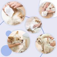 China Hypoallergenic Pet Wipes for Dogs Cats 200x200mm Individually Wrapped Thick Cleansing Wipes for sale