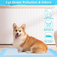 China Disposable Pet Training Pads 56x56cm Large Dog Pee Pads Super Absorbent Leak Proof for Puppies for sale