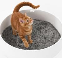 China Easy Clean and Scent Control Pet Tofu Cat Litter with Customization Service Provided for sale
