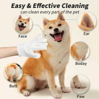China Disposable Pet Grooming Gloves 9.6x12.6in Eco-Friendly Cleaning Wipes for Dogs Cats for sale