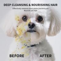 China Custom Non-Woven Pet Grooming Gloves 6 Pcs per Bag for Dogs Cats Deodorizing Cleaning for sale