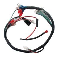China Motorcycle Wiring Harness ZJ-125cc CG-125 5 Gear Shift Whole Body Cable 125cc for sale