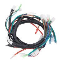 China Custom Motorcycle Automotive Wiring Harness for BAJAJ BM-150 PVC 12V for sale