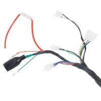 China Customized Sampling Harness Battery Pack Energy Collection Harness for ZJ-125 CG-125 for sale