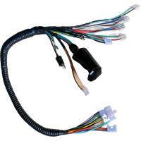 China OEM Motorcycle Wiring Harness Full Vehicle Line Assembly for DIO AF18 50cc Scooter 0.5mm2 for sale