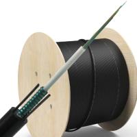 China Loose Tube 2 4 8 12 Core G652D G657A Fiber Optic Cable GYXTW for sale