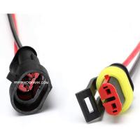 China 2 / 4pin Way Waterproof Automotive Cable Harness With Connectors for sale