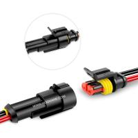 China 2Pin Way Waterproof Automotive Cable Wire Harness for Vehicle for sale