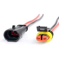 China 2Pin Way Waterproof Automotive Cable Wire Harness for Vehicle for sale