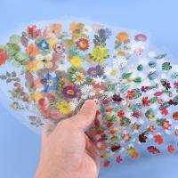 China DIY crystal dropper molds, multiple flower materials, stickers, dropper materials, dropper fillers for sale