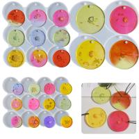 China DIY crystal dropper 4-in-9-in-12 hole circular pendant bag key pendant silicone mold for sale
