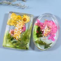 China DIY crystal dropper mold handmade mirror practical soap storage box silicone mold wholesale for sale