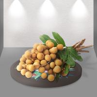 China DIY crystal dropper mold, circular fruit dessert storage tray, silicone mold, Amazon hot push for sale