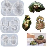 China DIY dropper resin human 3D organ silicone mold visceral brain heart 3D pendant grinding tool for sale