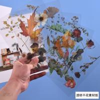 China DIY Drip Glue Multiple Simulated Transparent Dried Flower Filling Decoration Materials Paper Hand Account Stickers Wholesale in Stock for sale