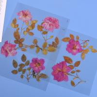 China DIY Drip Glue Multiple Simulated Transparent Dried Flower Filling Decoration Materials Paper Hand Account Stickers Wholesale in Stock for sale