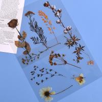 China DIY Drip Glue Multiple Simulated Transparent Dried Flower Filling Decoration Materials Paper Hand Account Stickers Wholesale in Stock for sale