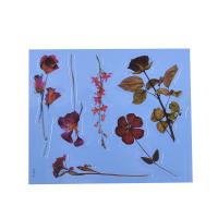 China DIY Drip Glue Multiple Simulated Transparent Dried Flower Filling Decoration Materials Paper Hand Account Stickers Wholesale in Stock for sale