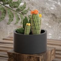 China DIY Large Dropping Resin Tai Chi Yin Yang Storage Can Flower Pot Aromatherapy Gypsum Candle Cup Silicone Mold Wholesale for sale