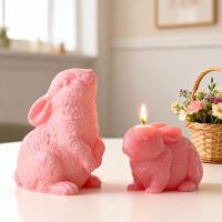 China Easter DIY Little Rabbit Aromatherapy Candle Mold 3D Stereoscopic Rabbit Ornament Gypsum Silicone Mold for sale