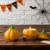 China Ins Pumpkin Storage Jar Silicone Mold DIY Capped Pumpkin Aromatherapy Candle Container Wansheng Storage Gypsum Mold for sale