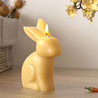 China Easter Half Dimensional Rabbit Silicone Mold DIY Aromatherapy Candle Gift Rabbit Ornament Mold for sale