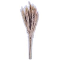 China DIY Crystal Dropper Mold Transparent Material Flower Plant Dropper Filling Sticker for sale