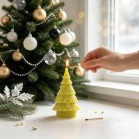 China New Squirrel Hat Christmas Tree Silicone Mold DIY Christmas Aromatherapy Candle Ornament Gypsum Mold for sale