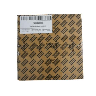 China Atlas Copco Spare Parts 2906056300 3001500903 3001501000 3001501001 Machine Service Kit for sale