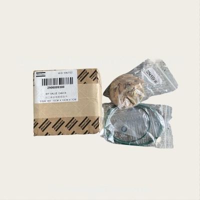 China Atlas Copco Spare Parts 2906009300 Check Valve Kit for Industry Air Compressor for sale