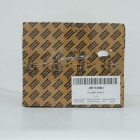 China Atlas Copco Spare Parts 2901108900 2901108901 Service Kit Elem Ovrh for Industrial Air Compressor for sale