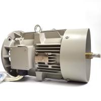 China 1092094200 9096922018 Atlas Copco Motor 18.5kW 400V 50Hz GA15 Genuine Screw Compressor Spare Parts for sale