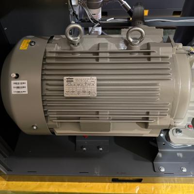 China Atlas Copco 2080111421 75 kW Motor ASSY 380V 50Hz C142 for Screw Compressor Genuine for sale